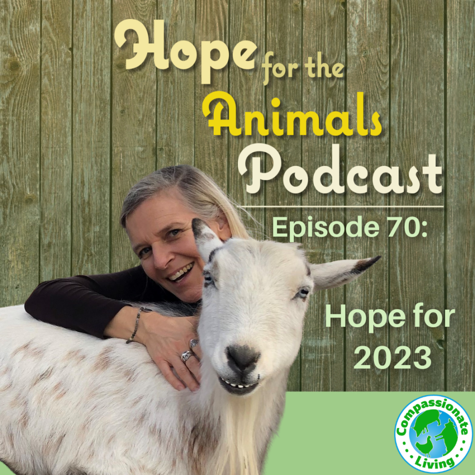 Episode 70: Hope for 2023 | Hope For The Animals Podcast