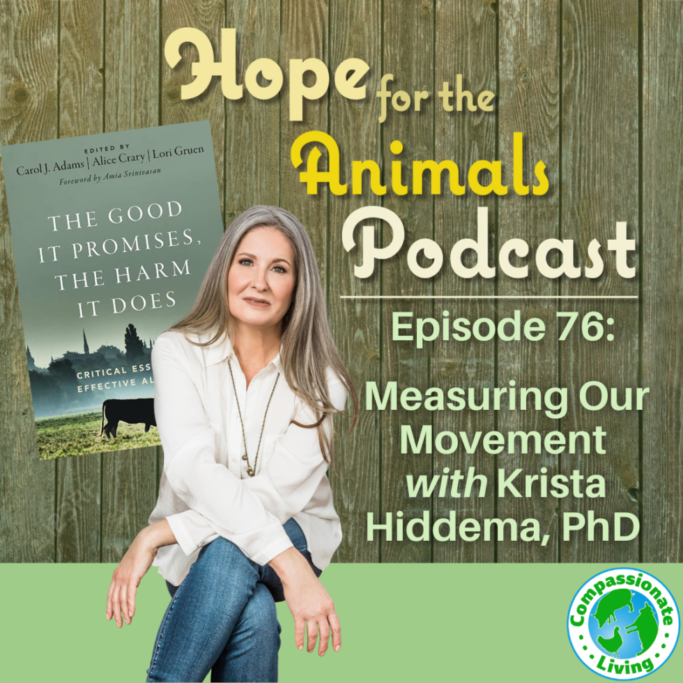 Episode 76: Measuring Our Movement with Krista Hiddema, PhD | Hope For ...