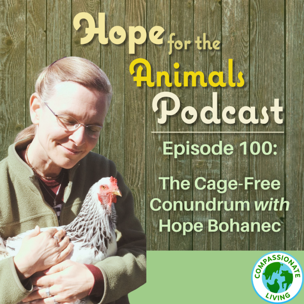 Episode 100: The Cage-Free Conundrum with Hope Bohanec | Hope For The ...